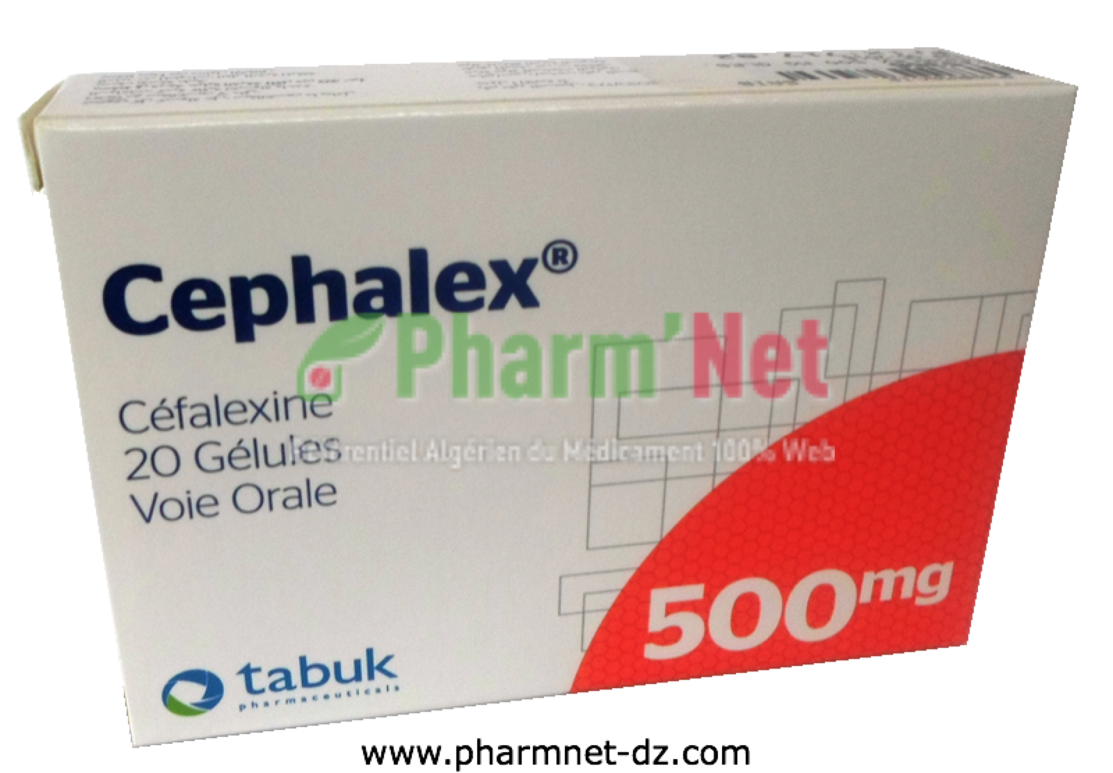 CEPHALEX 500MG GLES B 20 PharmNet Encyclop die Des M dicaments En CEPHALEX 500MG GLES B 20 PharmNet Encyclop die Des M dicaments En